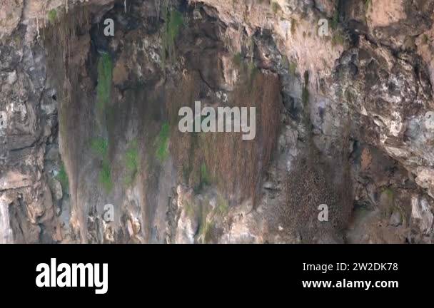 Rocky Wall Horizon Layers of Cave.Underground profiles in rocky floor ...