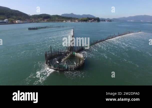 Korea strait Stock Videos & Footage - HD and 4K Video Clips - Alamy