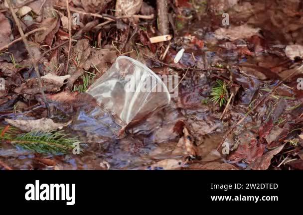 Plastic garbage and cigarette butts in clean stream water ...