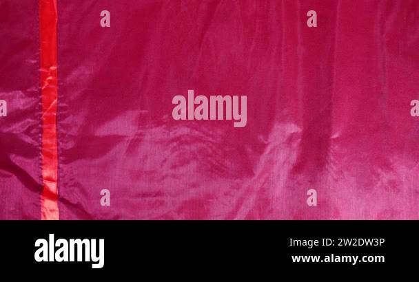 Heart shaped leaves together Stock Videos & Footage - HD and 4K Video ...