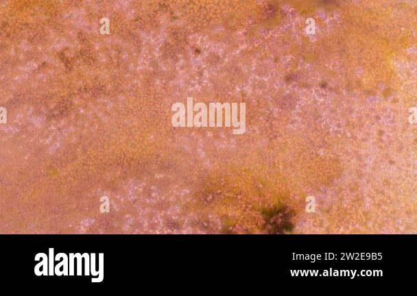 Rusting surface Stock Videos & Footage - HD and 4K Video Clips - Alamy