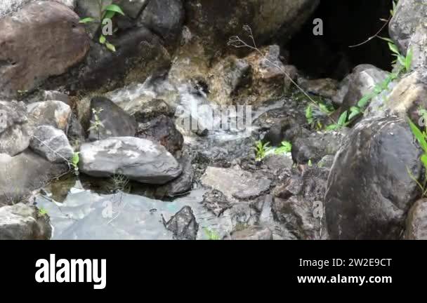 Slow Motion of stream river running over mossy rocks. Mountain river in ...