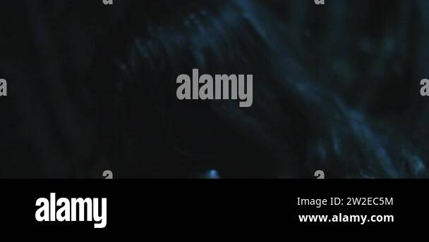 Scary zombie creature woman eating human hand in the woods. Close up ...