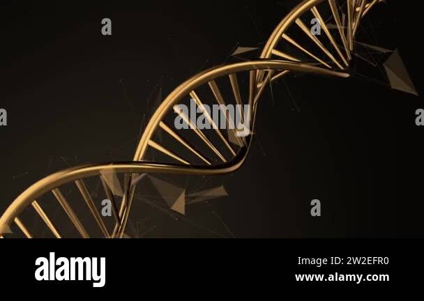DNA structure - Deoxyribonucleic acid. 3D animation for medical ...