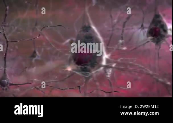 3d brain neurons synapse Stock Videos & Footage - HD and 4K Video Clips ...