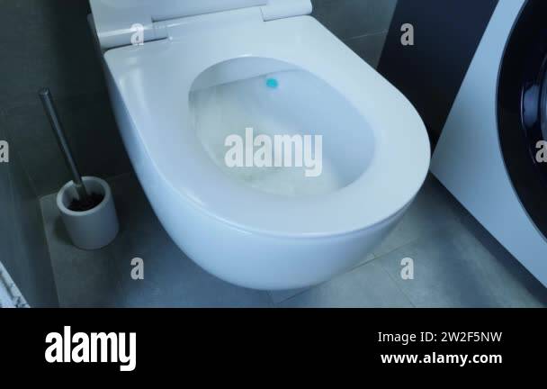 Close up side view of toilet flush. Side view of white toilet in ...