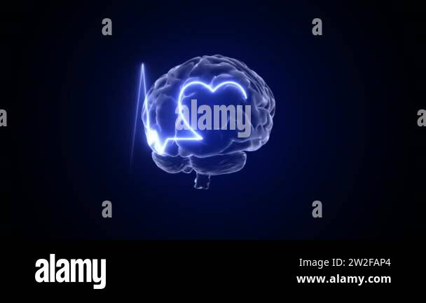 Heart pulse and brain animation 3d. Medical and scientific. Heartbeat ...