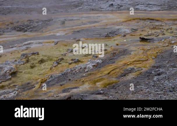 Crested pool castle geyser Stock Videos & Footage - HD and 4K Video ...