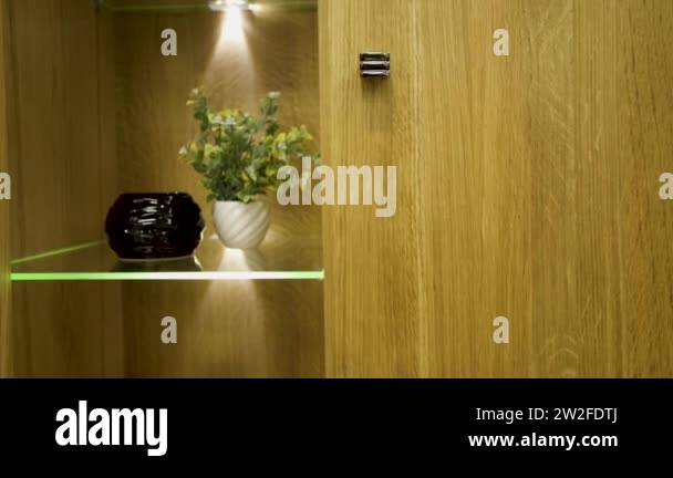 Designer glass shelf in a minimalist wooden cabinet made from friendly ...