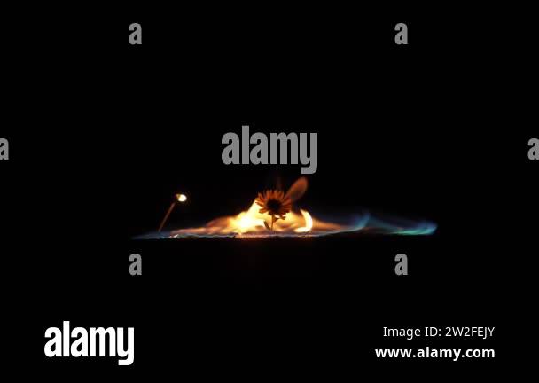 Risk match Stock Videos & Footage - HD and 4K Video Clips - Alamy