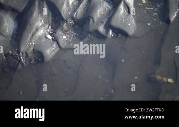 Black bottom mud Stock Videos & Footage - HD and 4K Video Clips - Alamy