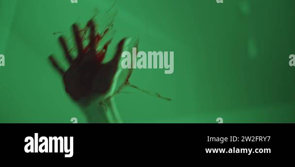 Bloody hand scratching glass, trapped injured person trying to escape ...