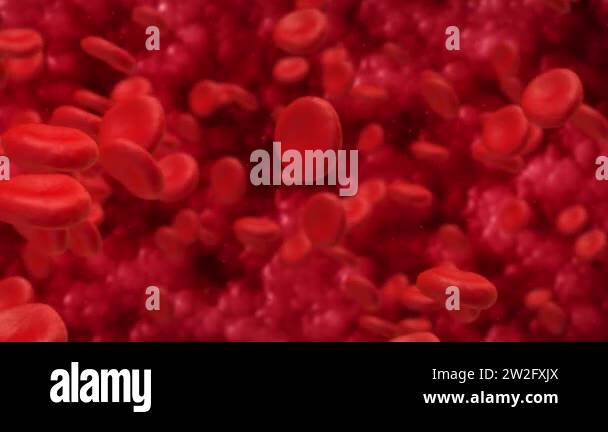 Blood cells move in the arteries. 3D animation of cells and particles ...