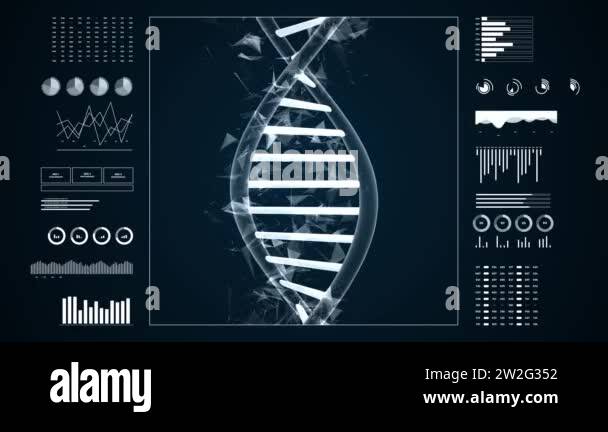 DNA structure - Deoxyribonucleic acid. 3D animation for medical ...