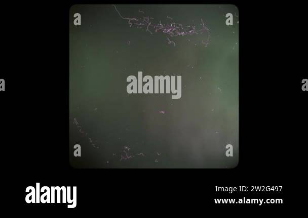 Screen of a Retro TV with scratches and damage. Black and white screen ...