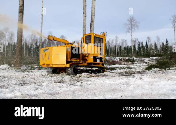 Winter in forest felling Stock Videos & Footage - HD and 4K Video Clips ...