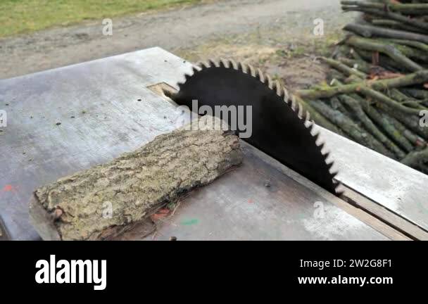 Stop sawmill blade. Finnish cutting of wood log on steel board. Blade ...