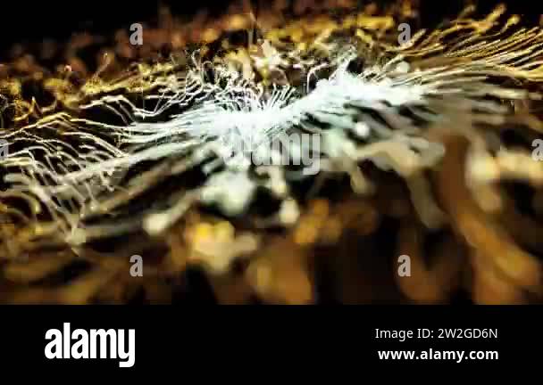 Animated particle background Stock Videos & Footage - HD and 4K Video ...