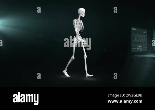 Animation of 3d model of human skeleton walking in front of magnetic ...