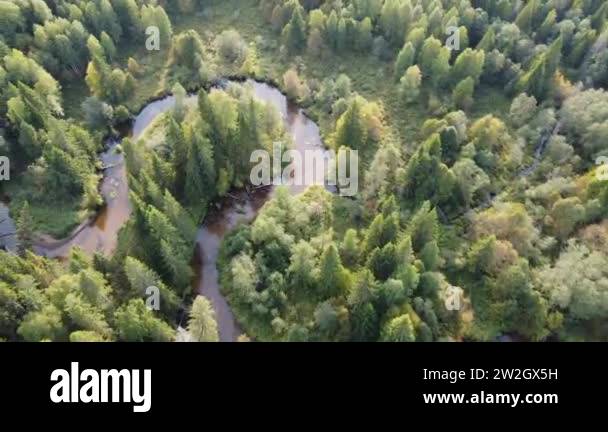 Forest river meanders in the wilderness of the forest. The banks are ...