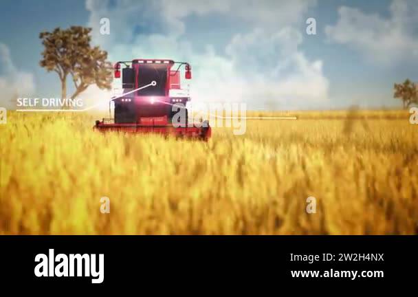 robot combine harvester working on the wheat field - industrial 3D 4K ...