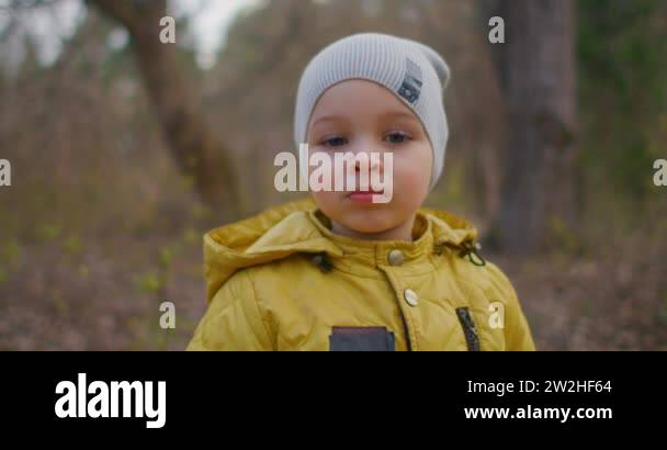 Brooding forest Stock Videos & Footage - HD and 4K Video Clips - Alamy