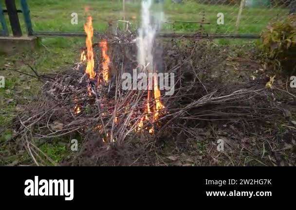 Queensland bushfire Stock Videos & Footage - HD and 4K Video Clips - Alamy