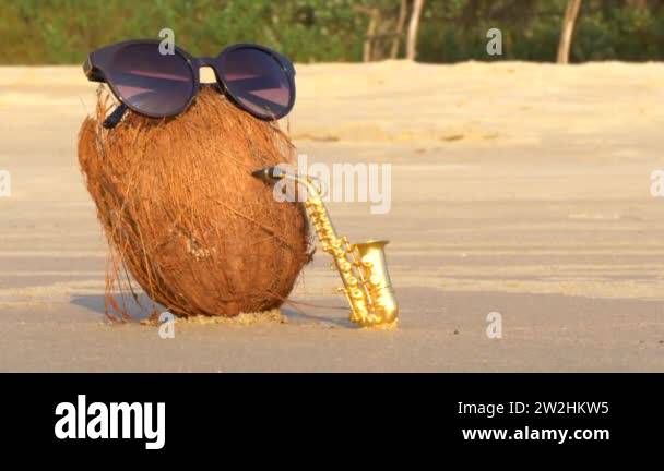 Coconut musical instrument Stock Videos & Footage - HD and 4K Video ...