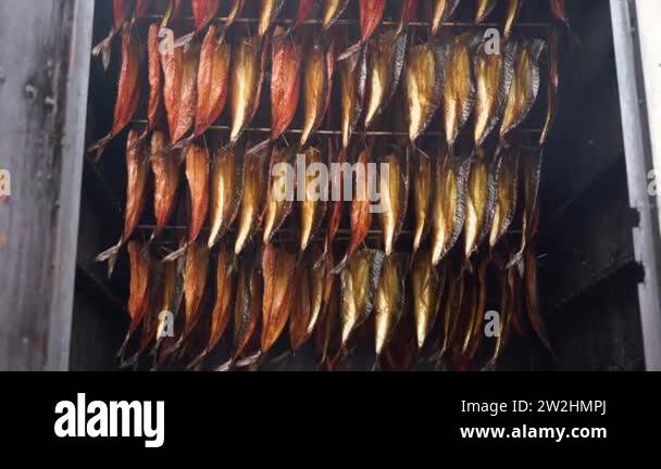 Cold smoking fish Stock Videos & Footage - HD and 4K Video Clips - Alamy
