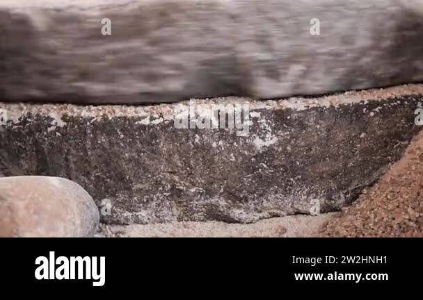 Close-up footage a process of grinding grain on an old millstone of ...