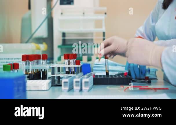 Two nurses are working with test tubes in medical laboratory ...