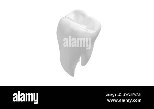 Rotating view of isolated 3D tooth. Black, white and green background ...