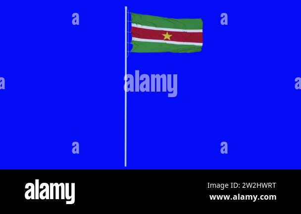 Suriname Flag Waving on wind on blue screen or chroma key background ...