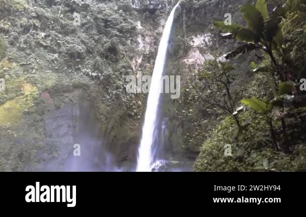 Epic waterfall Nature background full hd. High Humidity In Jungle ...