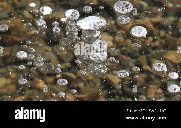 Air bubbles trapped in ice sheet.Bubbles become trapped on their way to ...