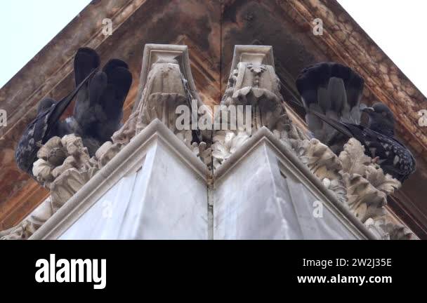Symmetrical Pigeon Birds on Gothic Romanesque Columns of Historic ...