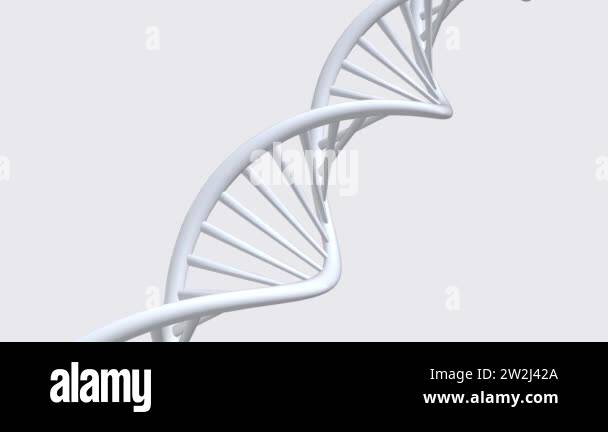 DNA structure - Deoxyribonucleic acid. 3D animation for medical ...