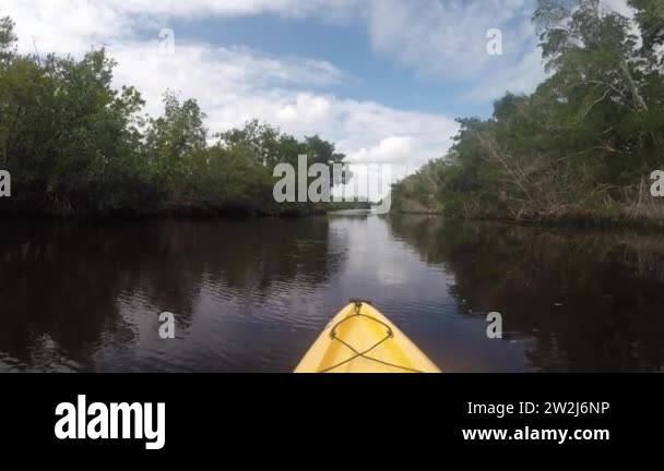 Kayak everglades Stock Videos & Footage - HD and 4K Video Clips - Alamy