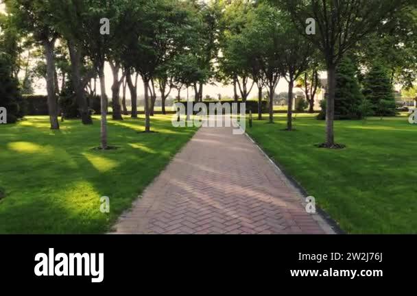 Trees garden pathway perspective Stock Videos & Footage - HD and 4K ...
