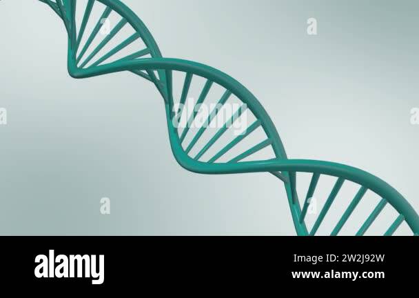 DNA structure - Deoxyribonucleic acid. 3D animation for medical ...