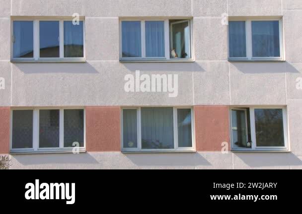 People in windows home open window Stock Videos & Footage - HD and 4K ...