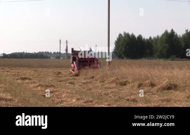 Peasant farm Stock Videos & Footage - HD and 4K Video Clips - Alamy