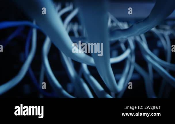 Close-up Macro Shot: Ethernet Cables Connected to Router Ports. Telecommunications: RJ45 Device ...