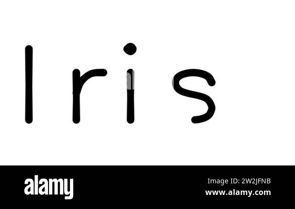 Irish Handwritten Text Animation in Various Sans-Serif Fonts and ...