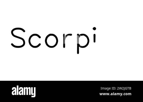 Scorpion Handwritten Text Animation in Various Sans-Serif Fonts and ...