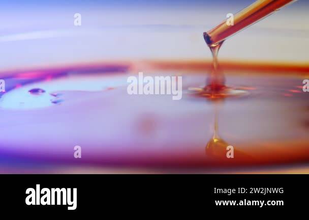 Small drops of red blood falling from a glassy tube on a round sauce ...