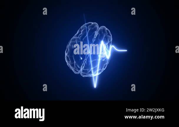 Heart pulse and brain animation 3d. Medical and scientific. Heartbeat ...