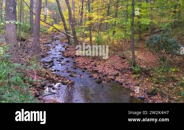 Vancampens Brook along the Old Mines Road in the Delaware Water Gap ...