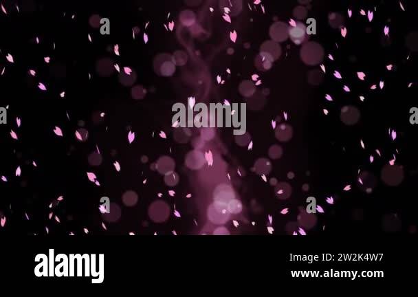 Colorful bright petals swinging in spring background with sun flares ...
