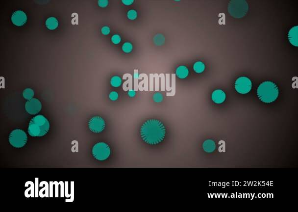 Coronavirus Covid-19 Infected virus 2019-ncov pneumonia in blood ...